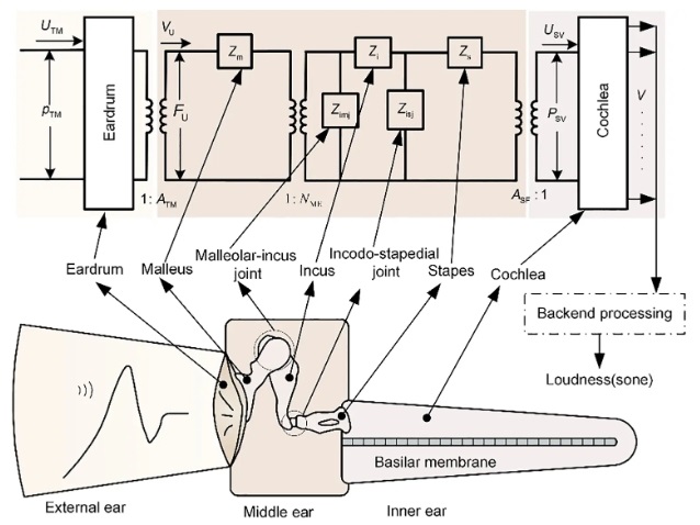 Three-alternative forced-choice method (3AFC) for tinnitus matching and ...